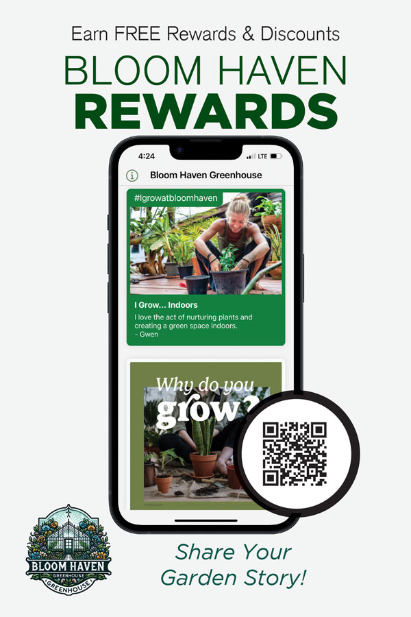 Grow Take Away Cards | Sunrise Marketing